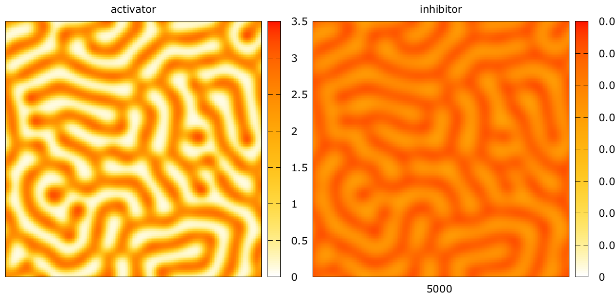 Try the Examples | Morpheus