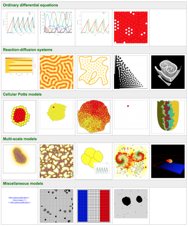 Try the Examples | Morpheus