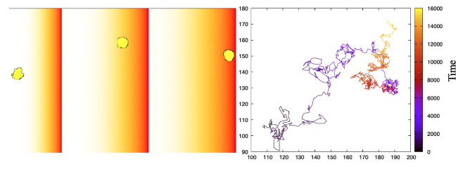 One Random Walker | Morpheus