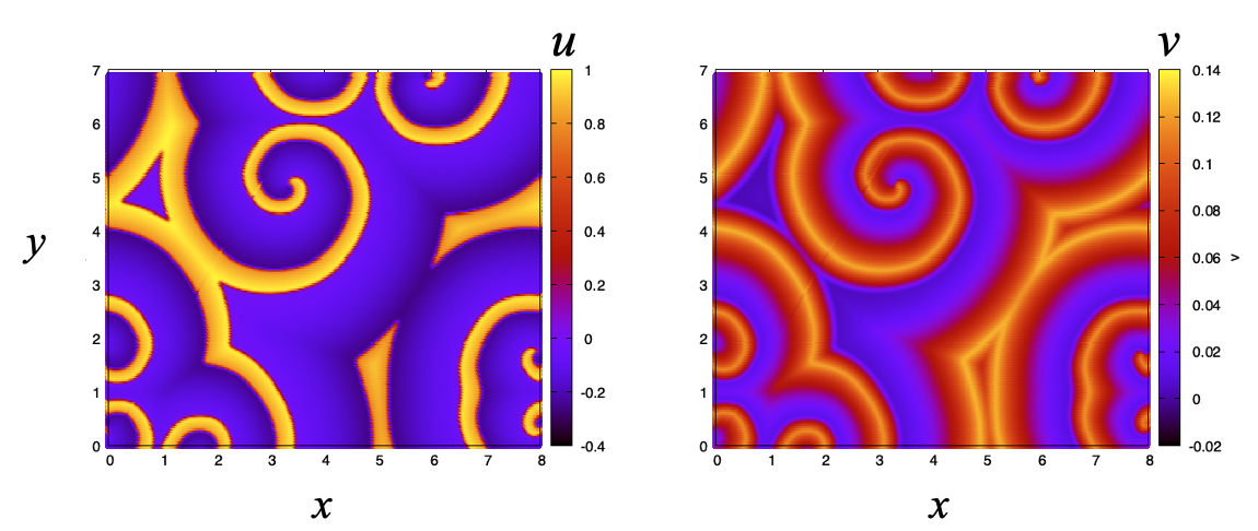 FitzHugh–Nagumo Waves | Morpheus