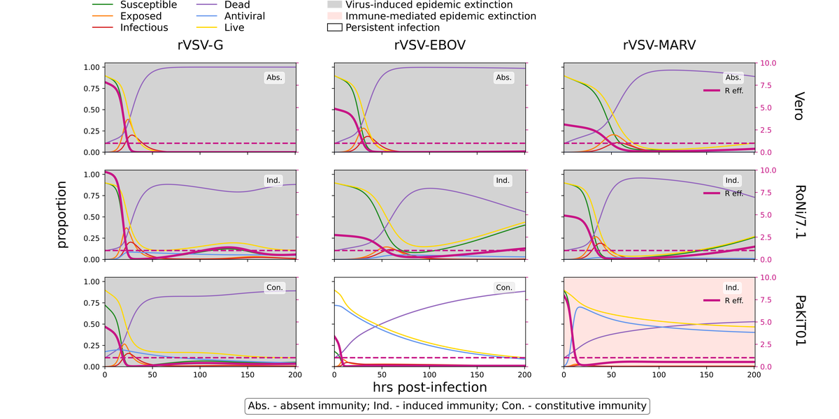 Viral dynamics in monkey and bat cell lines | Morpheus