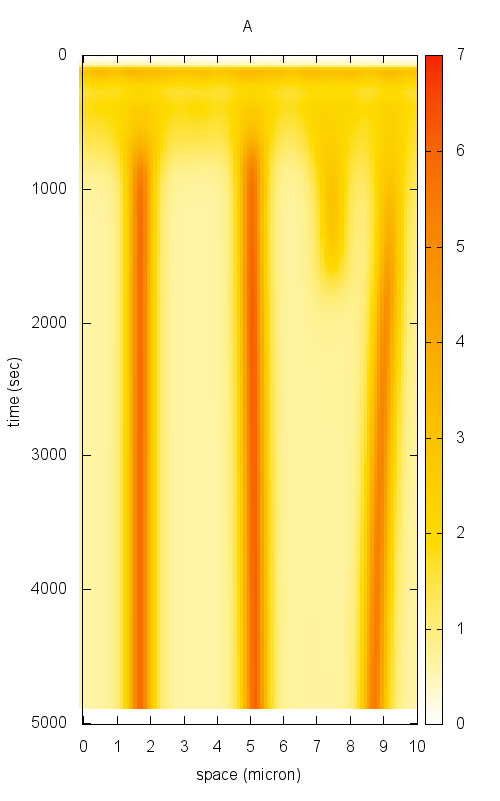 1D Reaction-Diffusion: Activator-Inhibitor | Morpheus