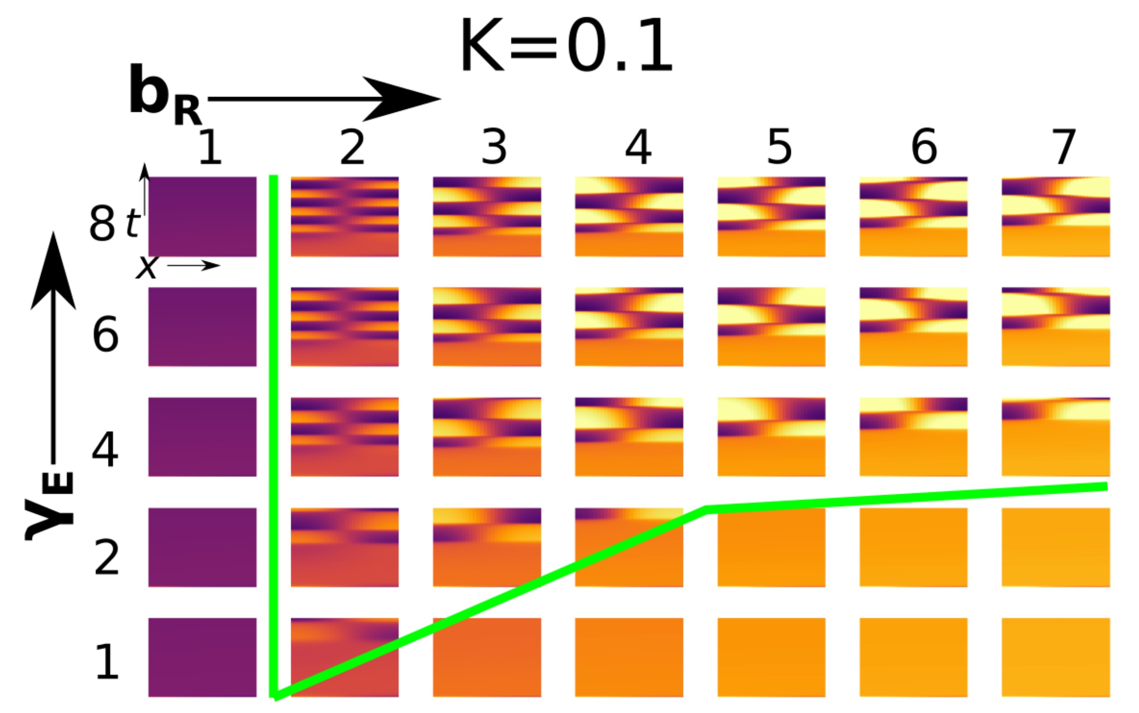 Basic Rac-Rho-ECM Spatial Model | Morpheus